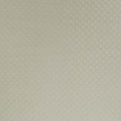 Buy Robert Allen Fabrics Fabrics -ZEBA QUILT | STERLING
