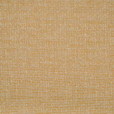 Buy Robert Allen Fabrics Fabrics -CODE MATRIX | CARAMEL